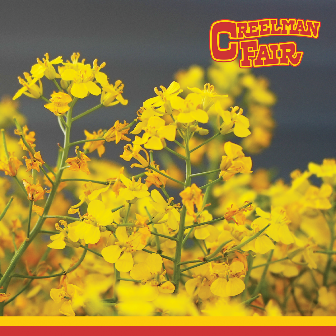 Field & Garden - Creelman Agricultural Society